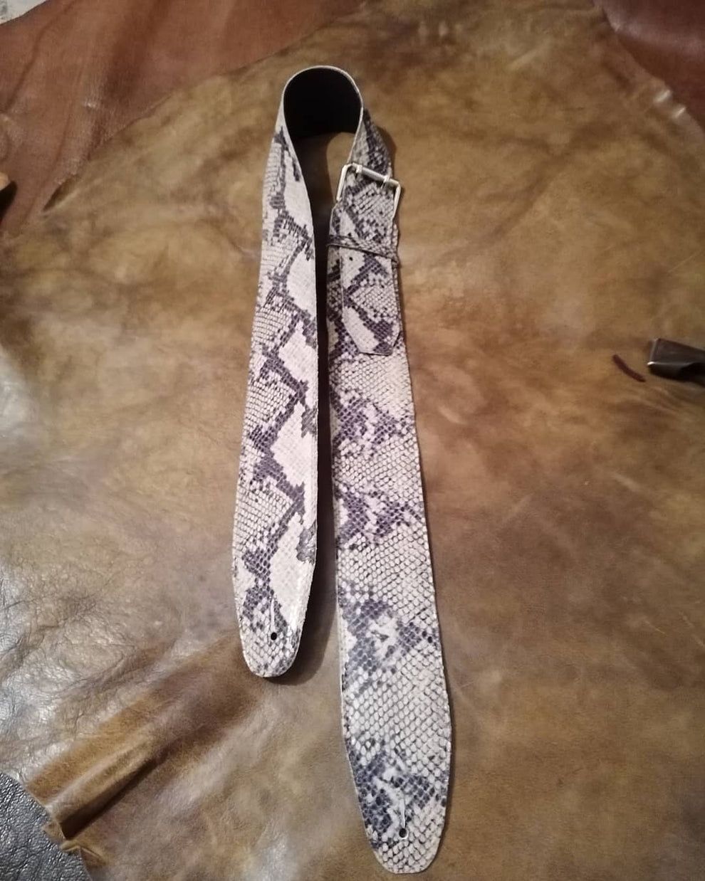 Randy Rhoads python imitation – GBS