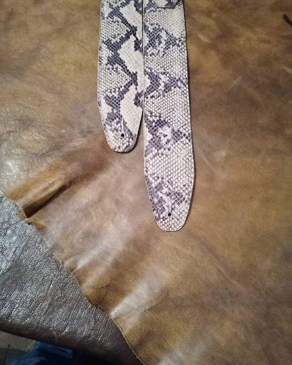 Randy Rhoads python imitation – GBS